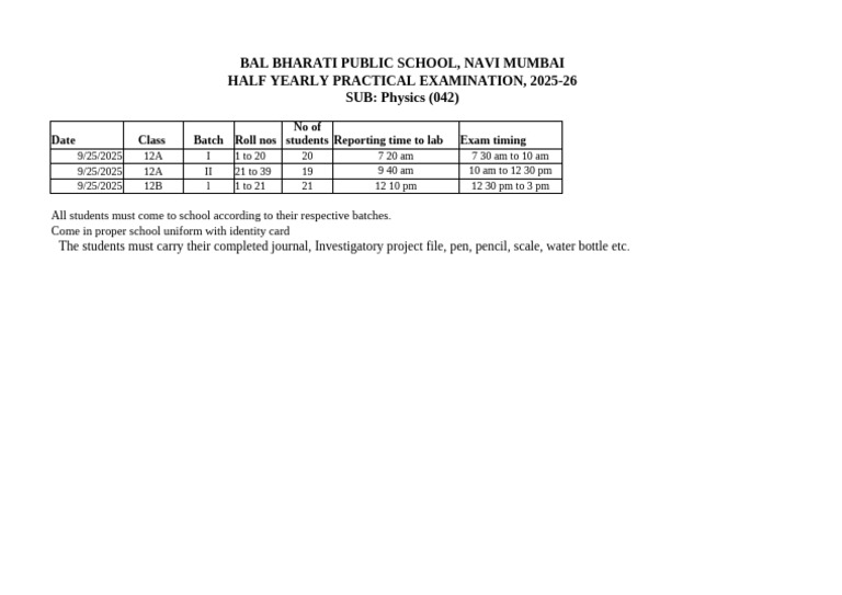 Instructions Half Yearly Practicals Class 12 2024-25 | PDF