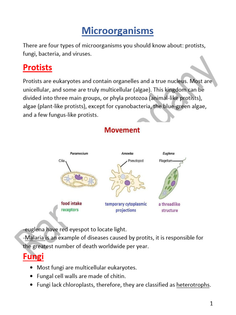 20-Microorganisms by R.M. | PDF | Virus | Bacteria