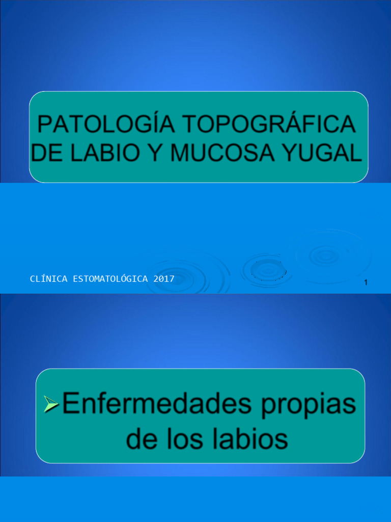 Topografica Patologia de Labio y Mucosa Yugal 2017 CALIBRADA | PDF ...
