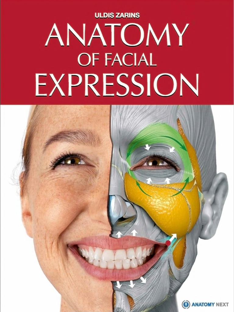 Anatomy of Facial Expression | PDF