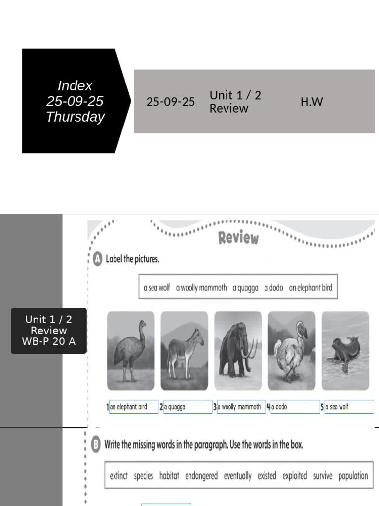 Unit 1, 2 Review | PDF