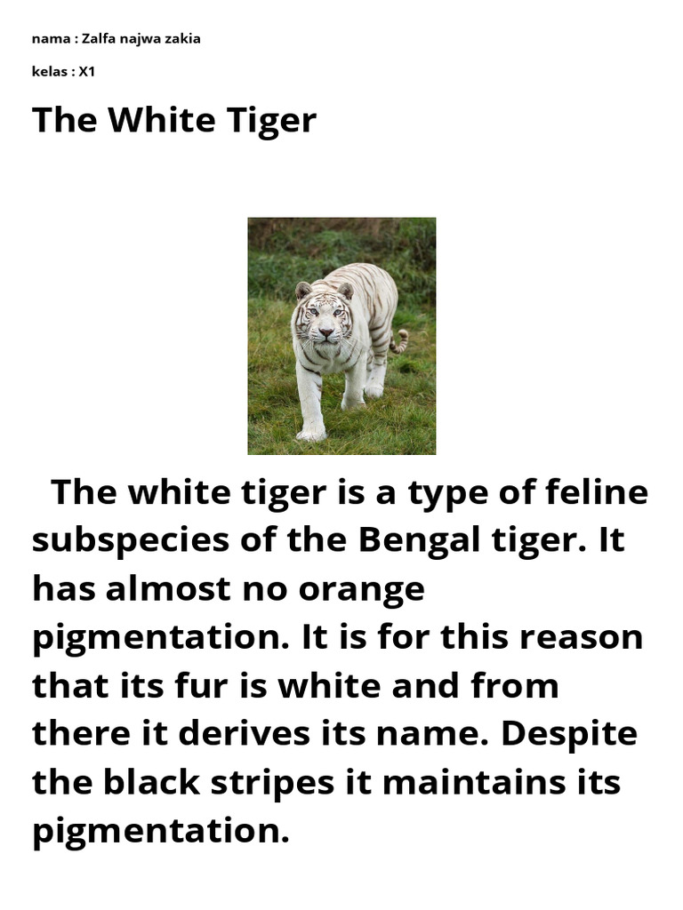 Contoh Descriptive Text Hewan 20250908 215549 0000 | PDF