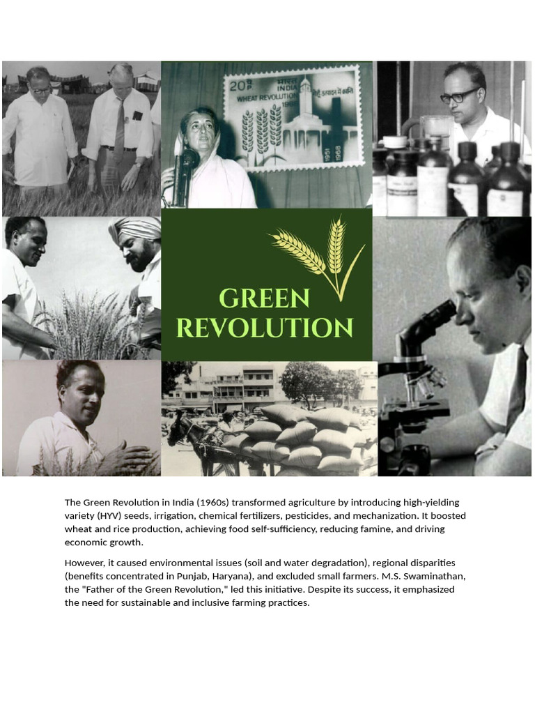 Impact of the Green Revolution in India | PDF