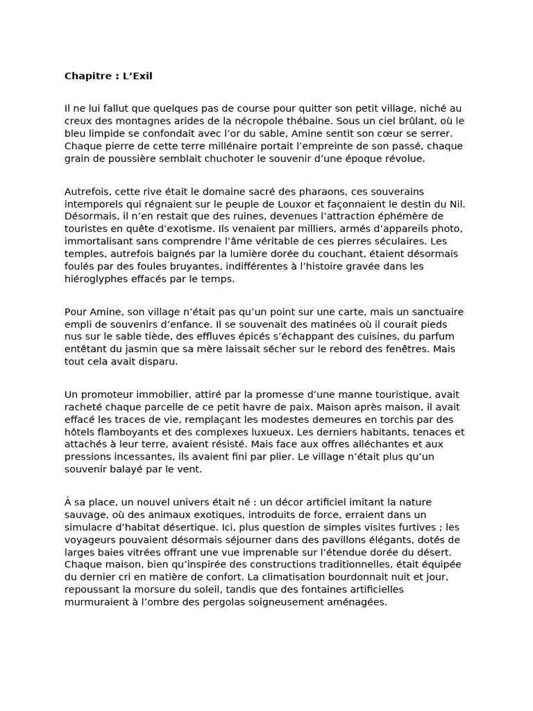 L'Exil d'Amine : Souvenirs et Quête | PDF