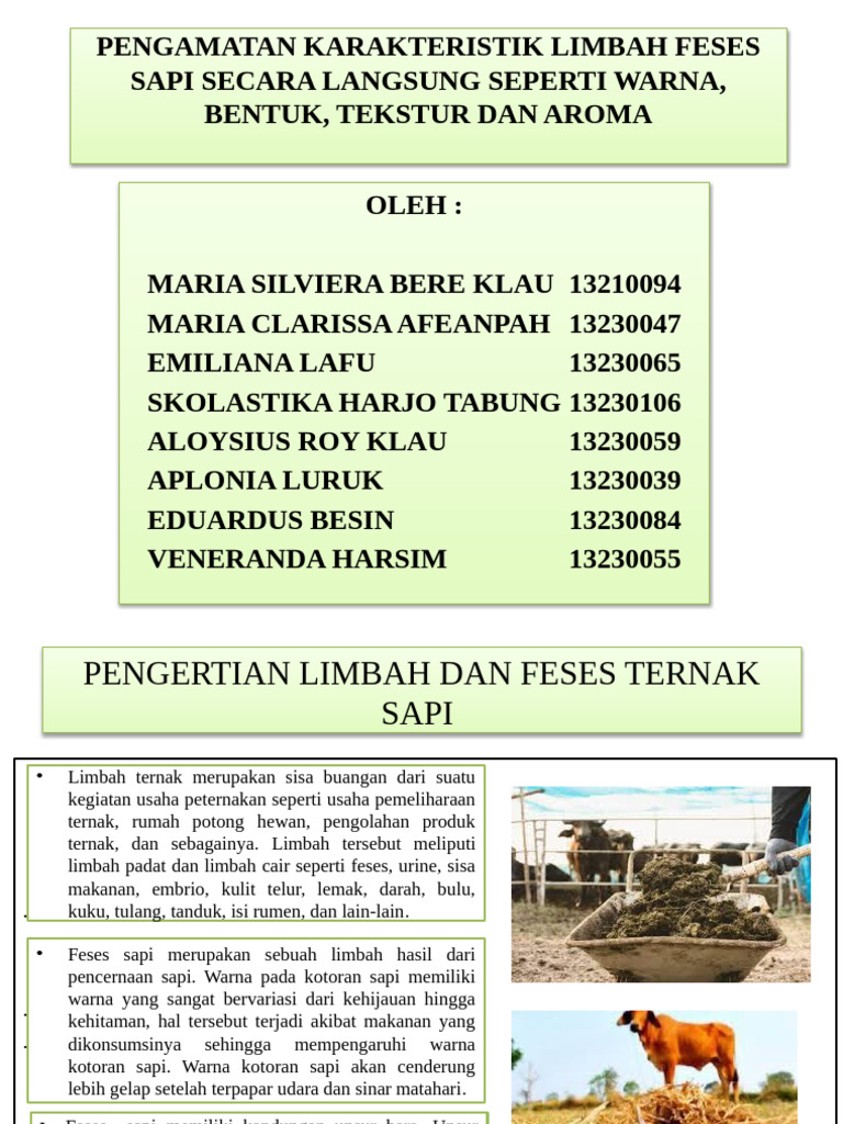 Pengamatan Karakteristik Limbah Feses Sapi Secara Langsung Seperti | PDF