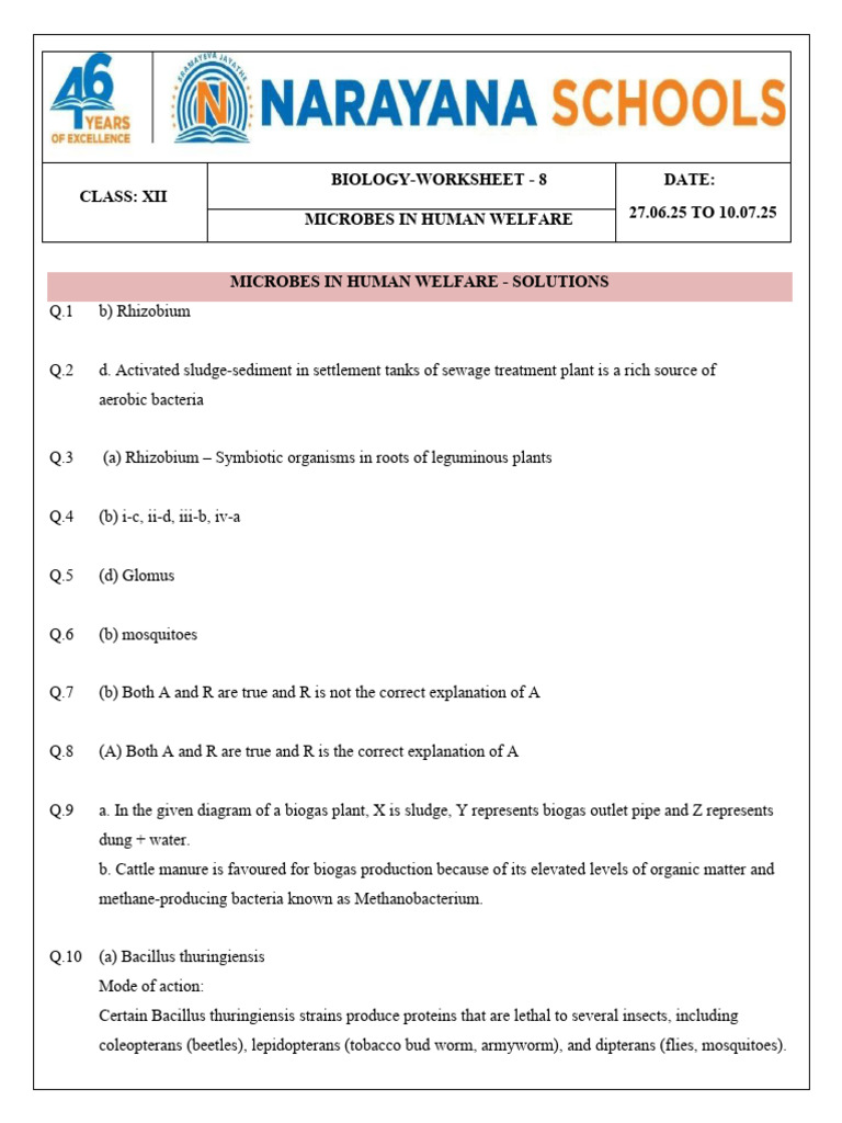 Microbes in Human Welfare, Biotechnology Principles and Processes ...