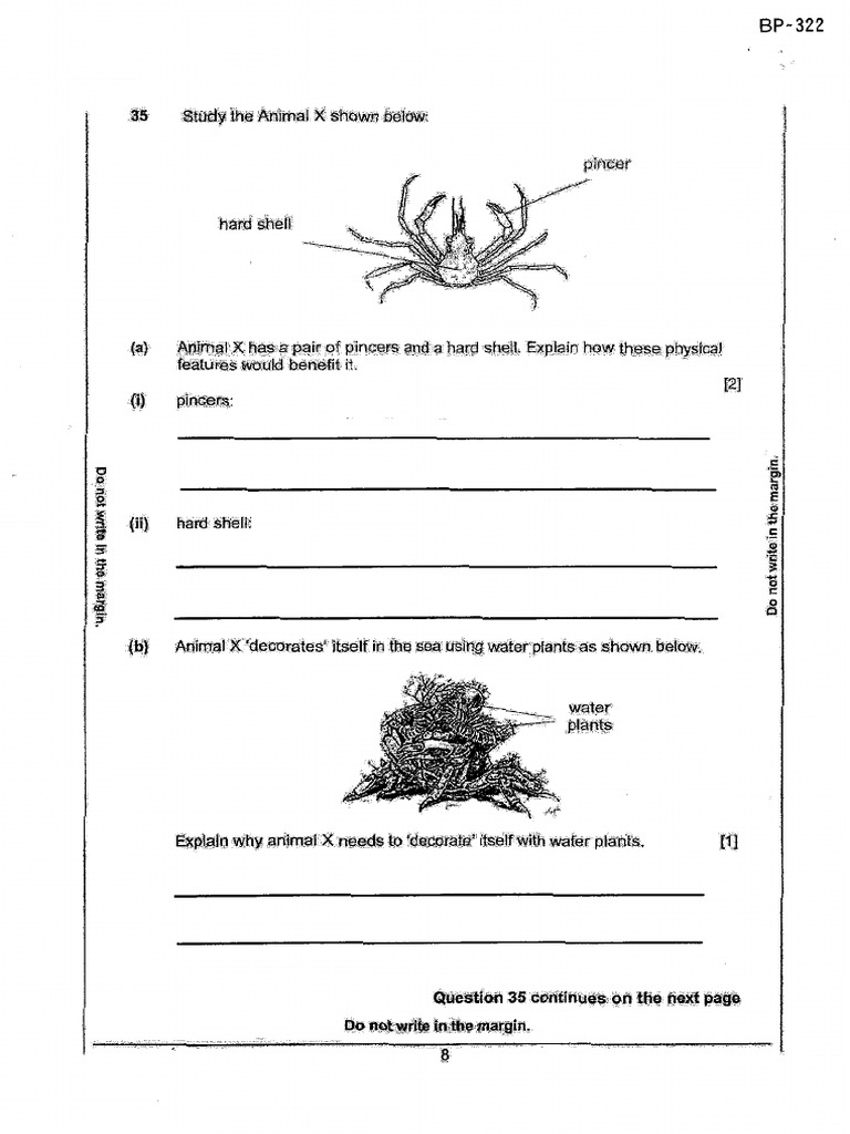 P6 Science WA2 2024 Rosyth Exam Papers | PDF