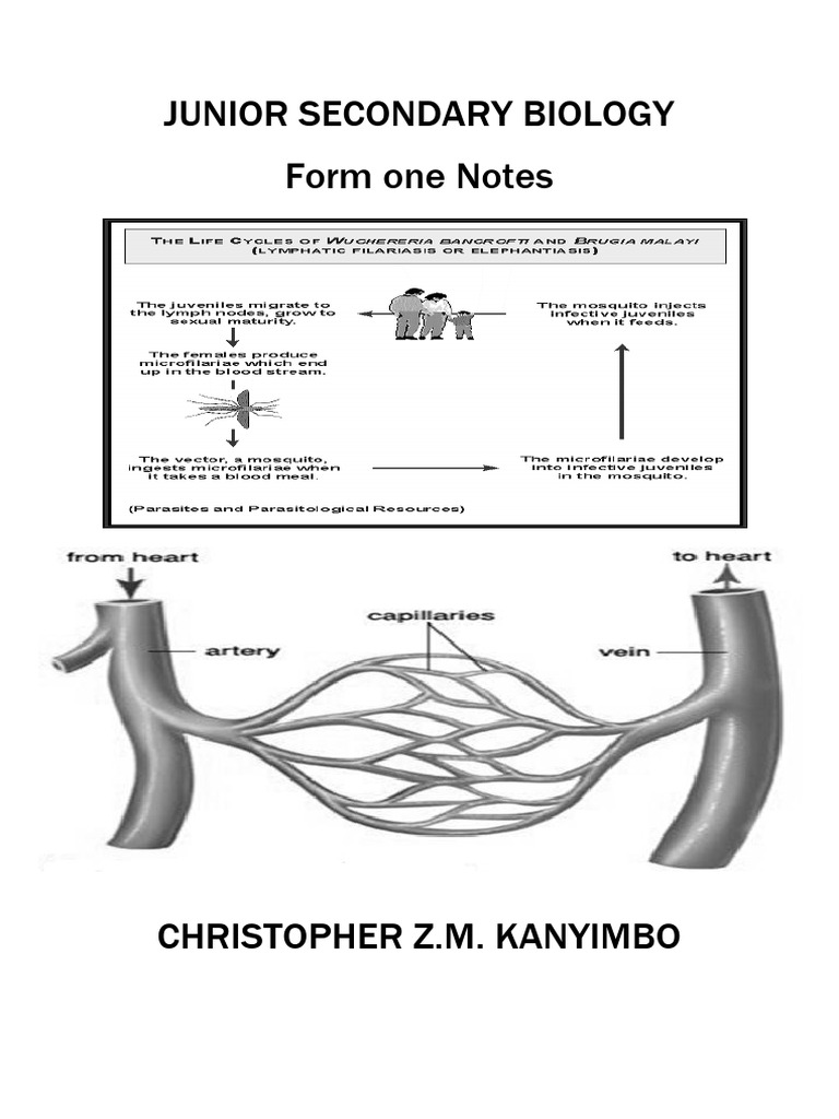 Form One Complete Biology | PDF | Leaf | Volume
