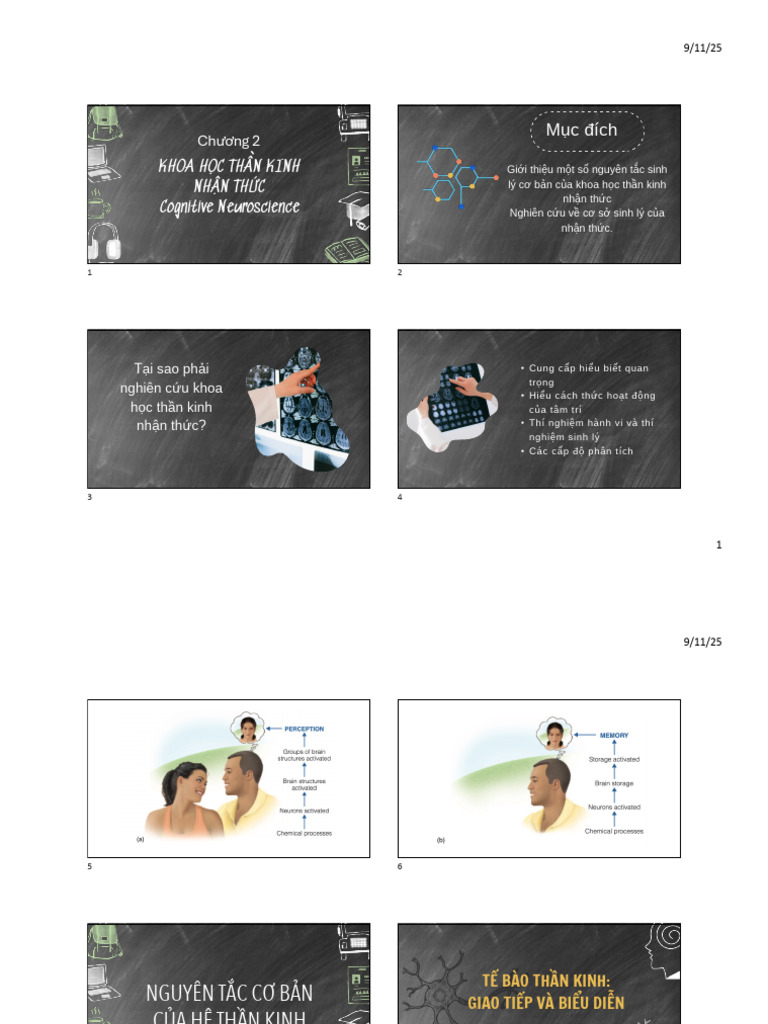 (2025) Cognitive Psychology - Chapter2 | PDF