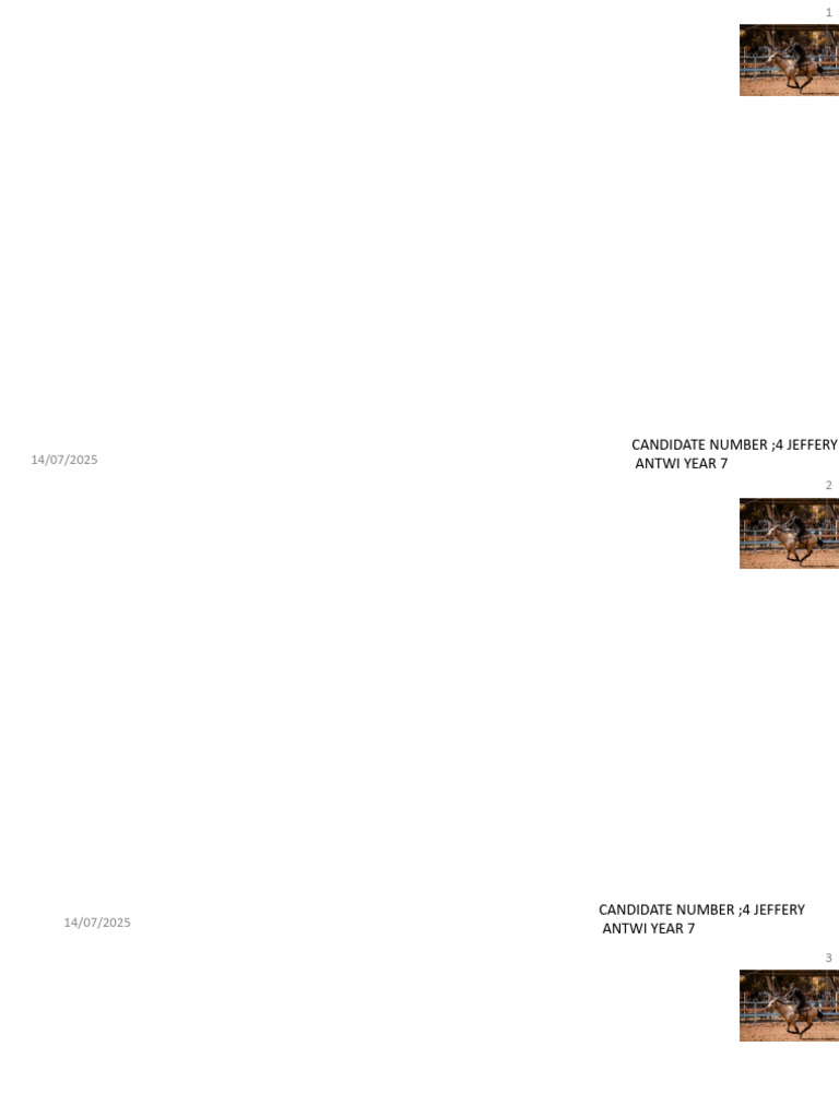 Jeffery Amamoo | PDF