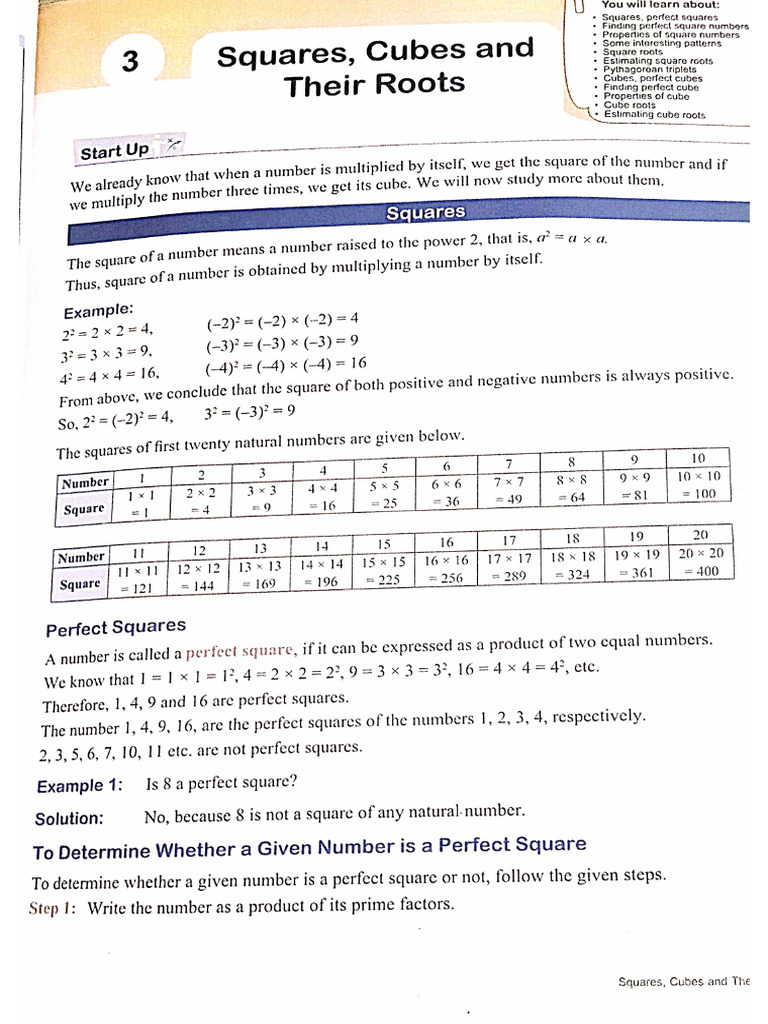 Squares, Cubes and Their Roots | PDF