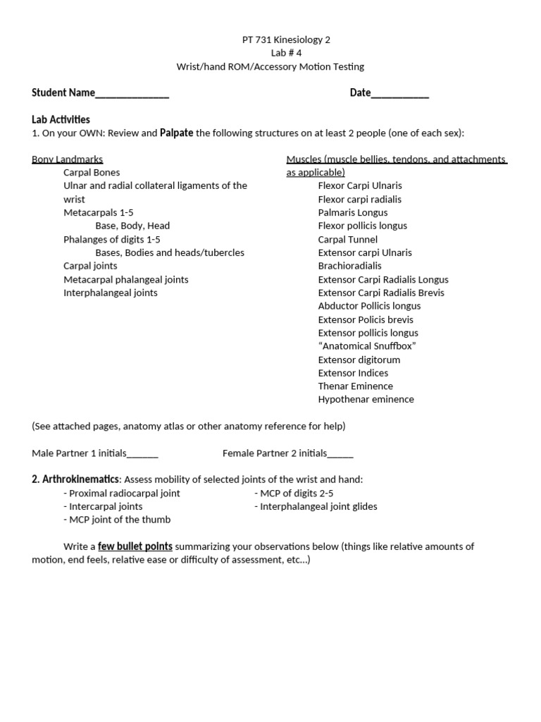 #4 Wrist and Hand ROM and Acc. Motion | PDF | Hand | Thumb