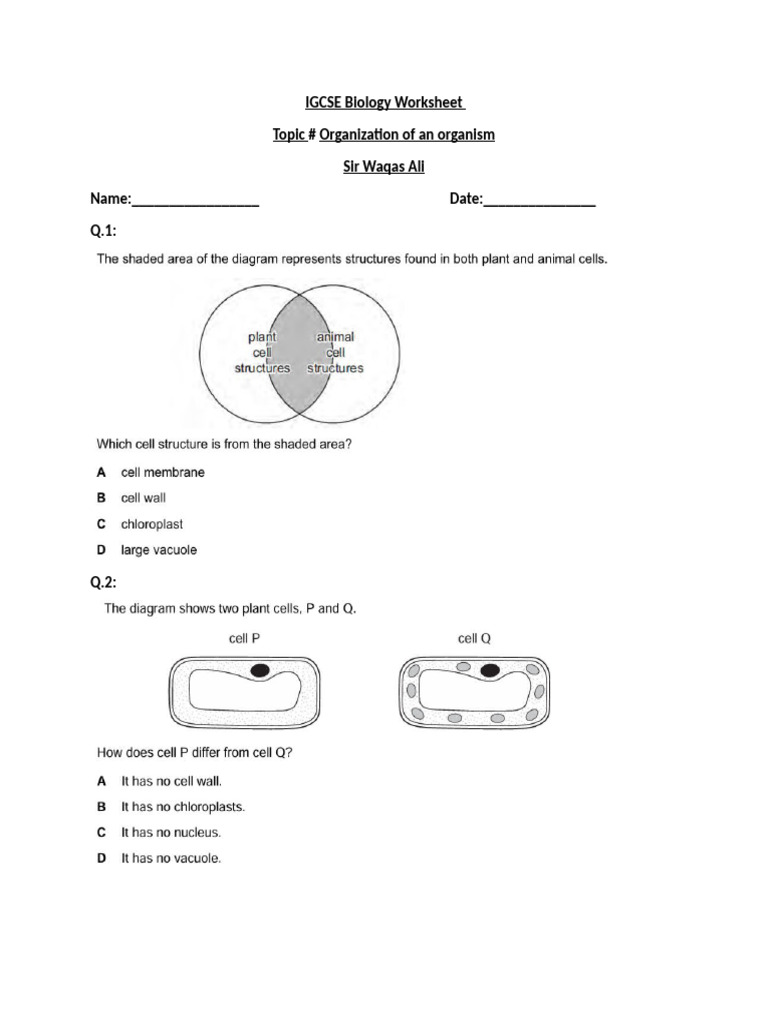 IGCSE Biology Worksheet Organization Level in Organism | PDF
