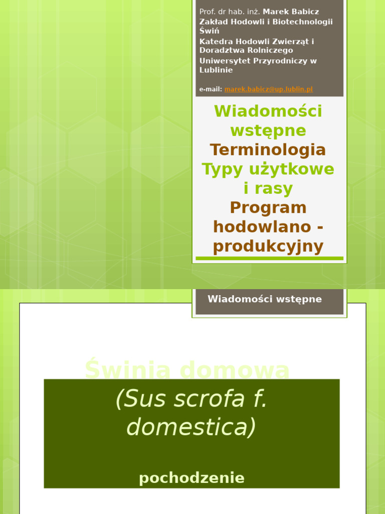 Wstęp Rasy Program | PDF