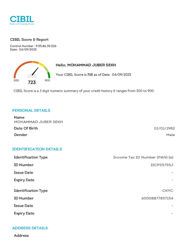 Cibil Report | PDF | Credit | Finance & Money Management