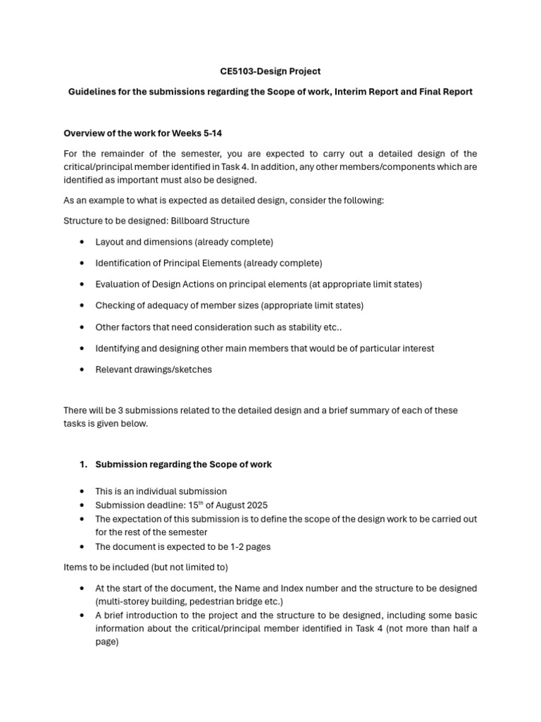 Design Project Submission Guidelines | PDF