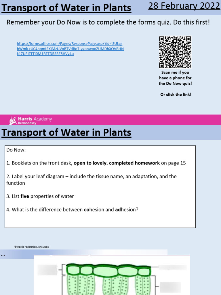 Lesson 4 Investigating Transpiration | PDF | Stoma | Water