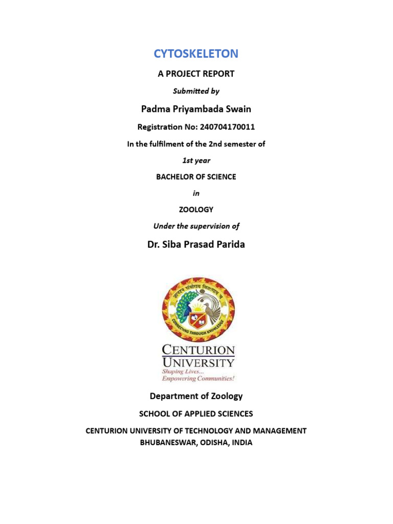 Padama Cell 2 | PDF