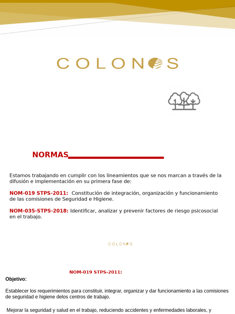 Presentacion Nom 019-035 | PDF | Salud mental | Estrés (biología)