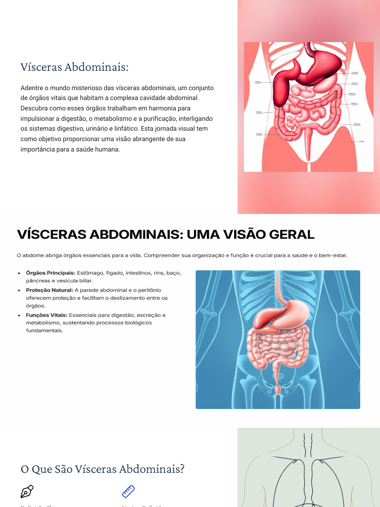 Importância das Vísceras Abdominais | PDF | Bile | Corpo humano