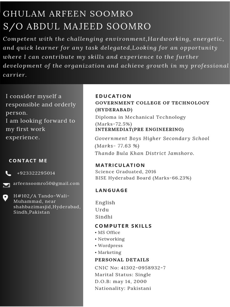 Mechanical CV Resume PDF | PDF