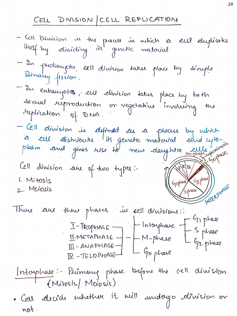 Cell Division | PDF
