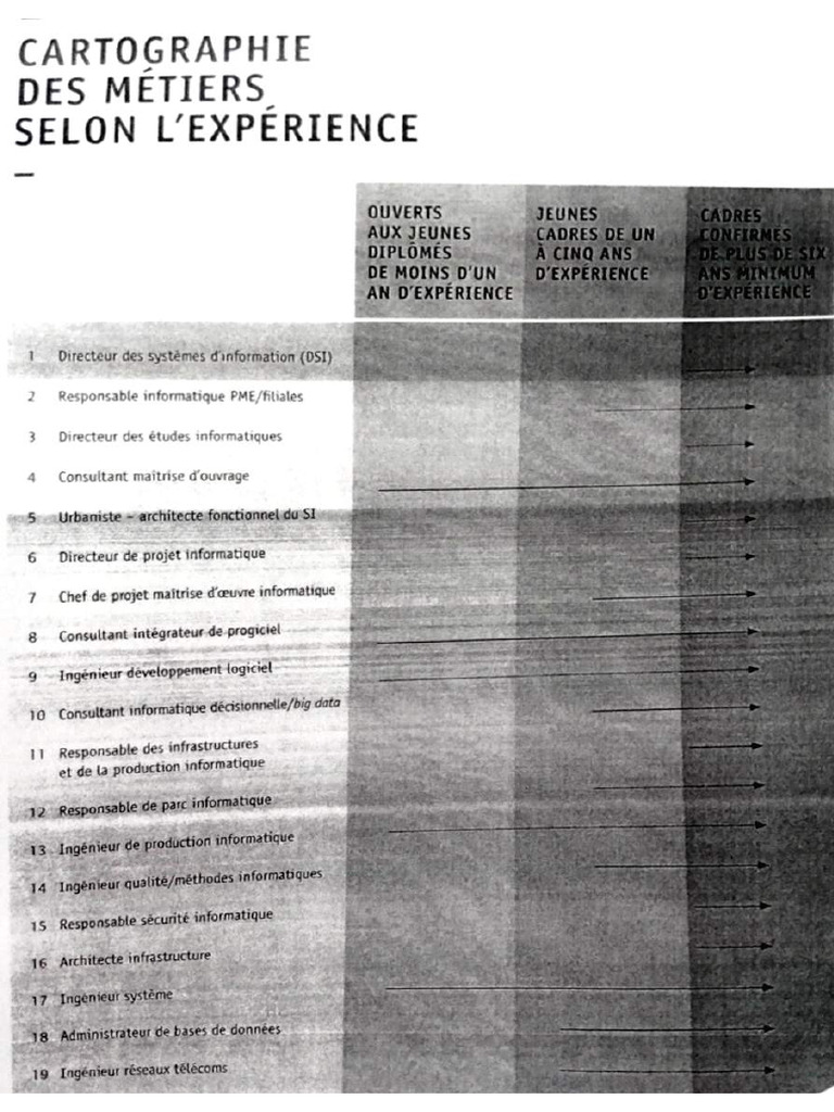Cartographie Metiers SI | PDF