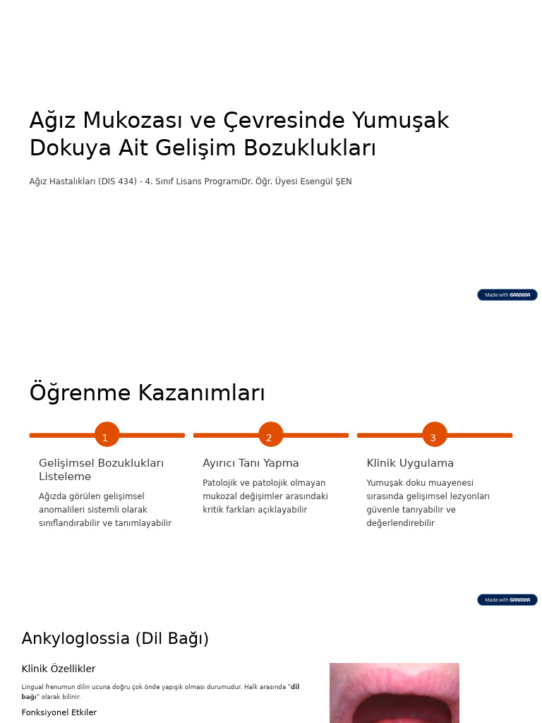 Agiz Mukozasi Ve Cevresinde Yumusak Dokuya Ait Gelisim Bozukluklari | PDF
