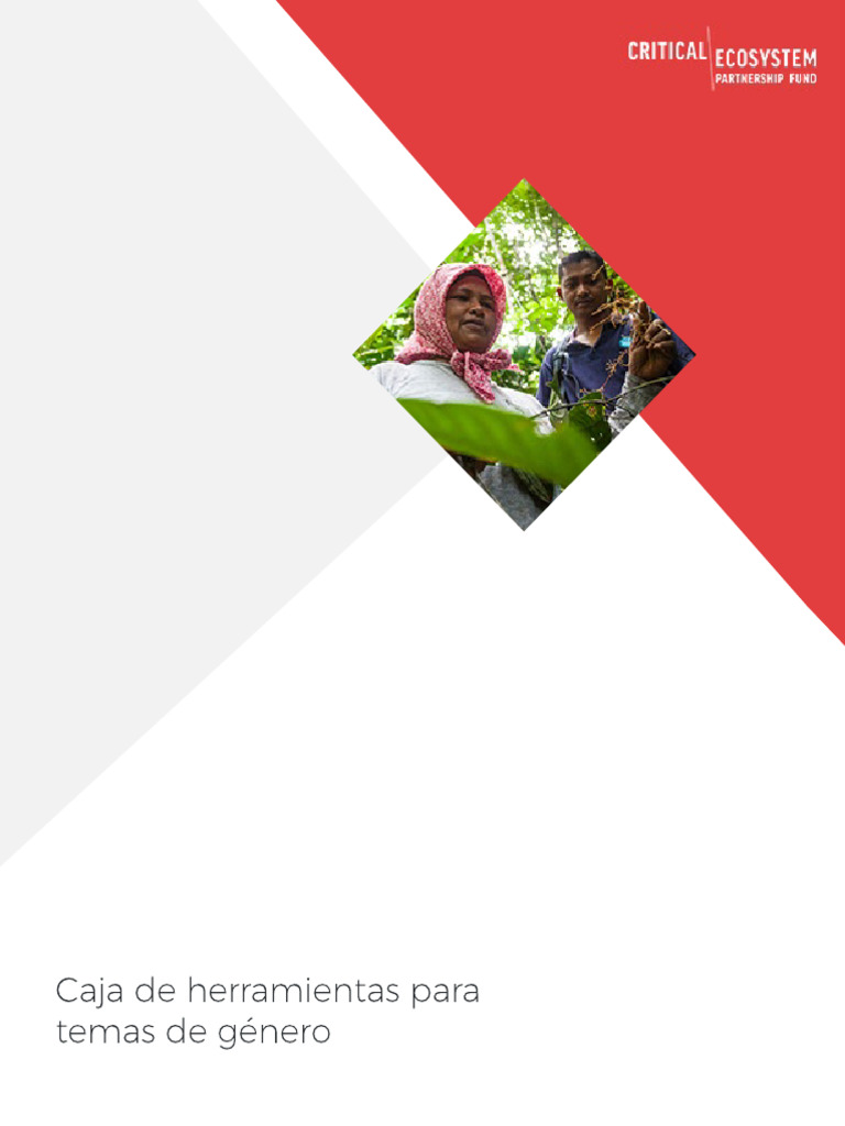Cepf Gender Toolkit | PDF | Género | Estudios de género