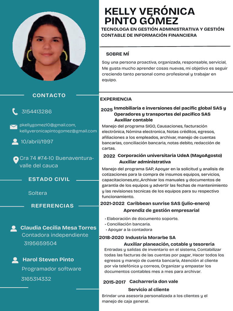 Perfil Profesional de Kelly Pinto Gómez | PDF | Contabilidad | Sas ...