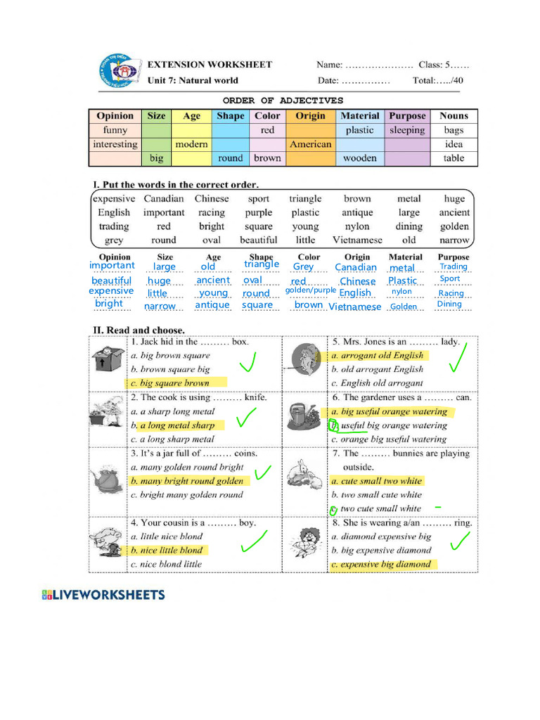 Worksheet 79622 | PDF