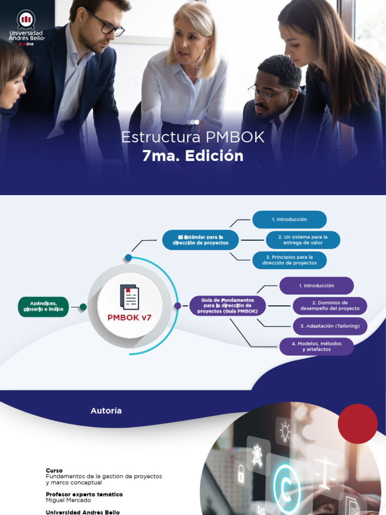 Estructura y Principios del PMBOK 7 | PDF