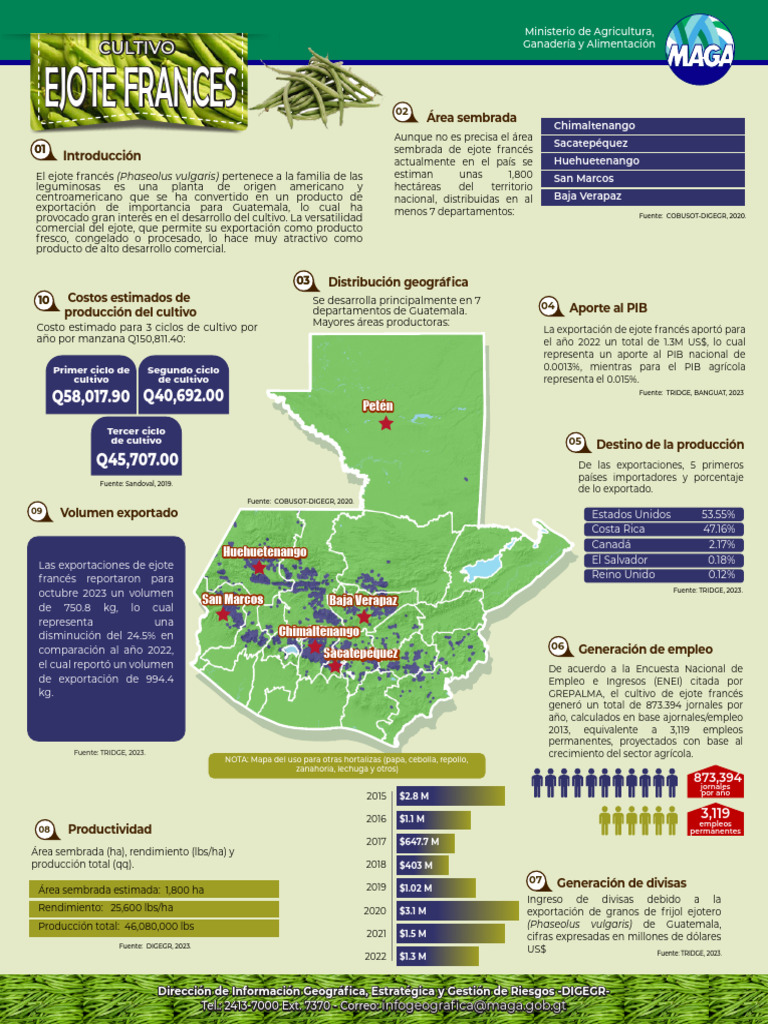 Cultivo y Exportación de Ejote Francés | PDF | Agricultura | Guatemala