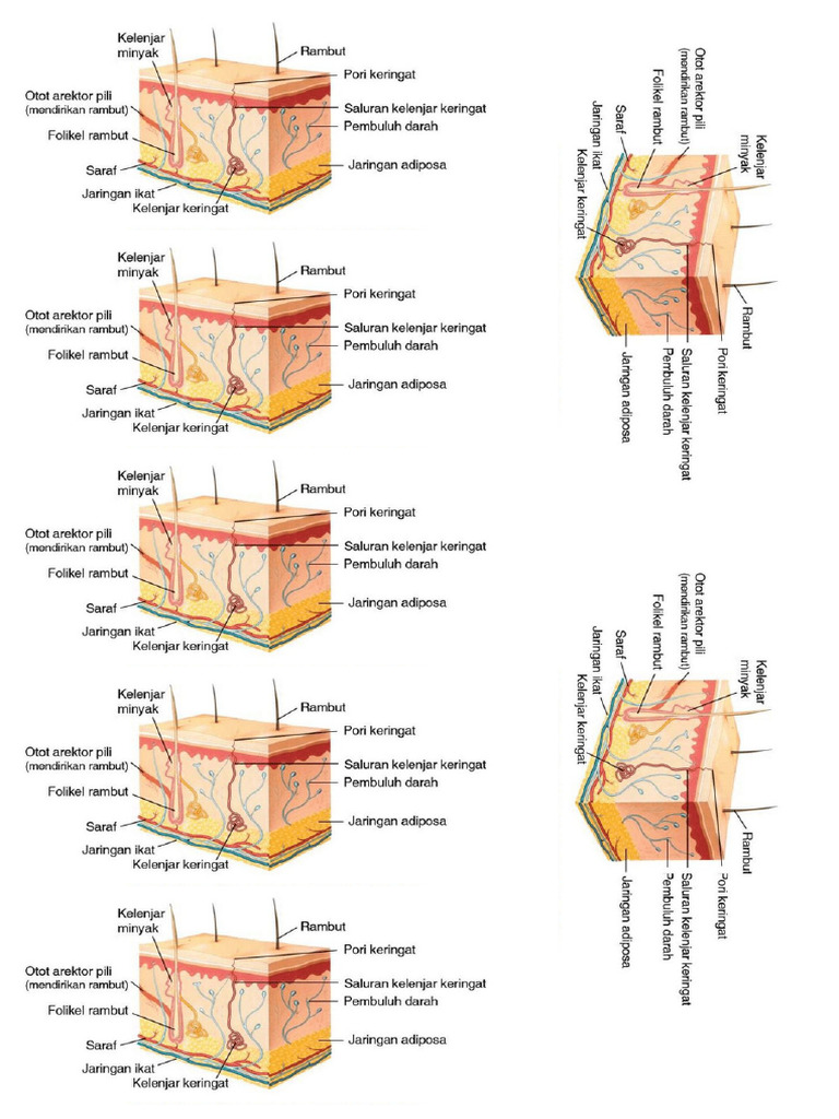 Desain Tanpa Judul - 20250919 - 213930 - 0000 | PDF