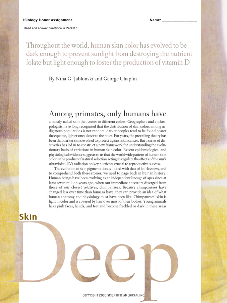 Evolution of Human Skin Color | PDF | Human Skin Color | Vitamin D