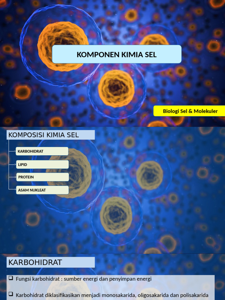 Pert 2_komponen Kimia Sel | PDF