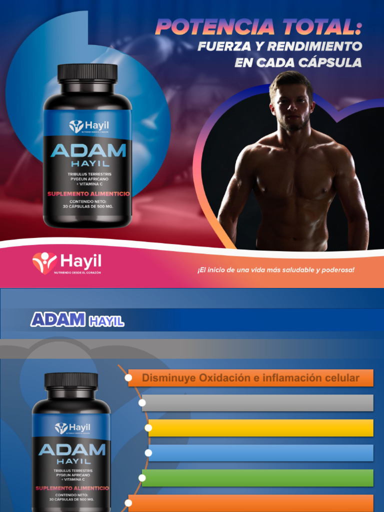 Ficha Ténica Adam - Hayil | PDF