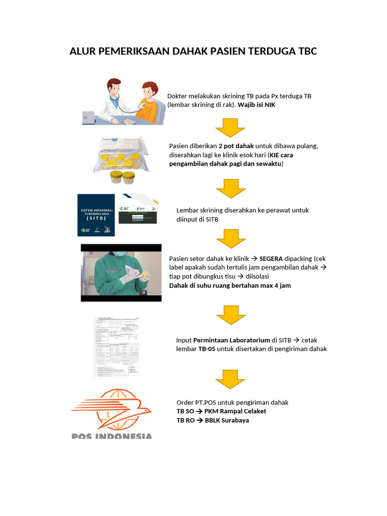 Alur Pemeriksaan Dahak Pasien Terduga TBC | PDF