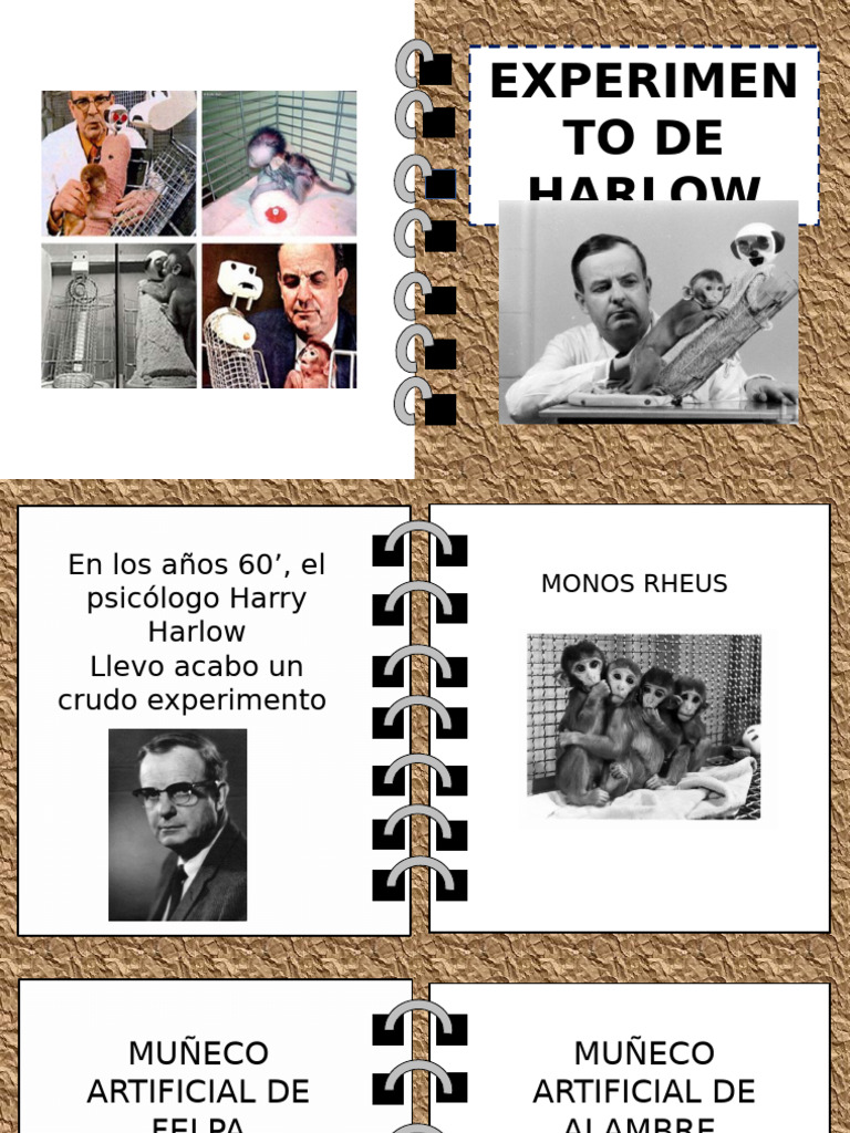 Experimento de Harry Harlow | PDF