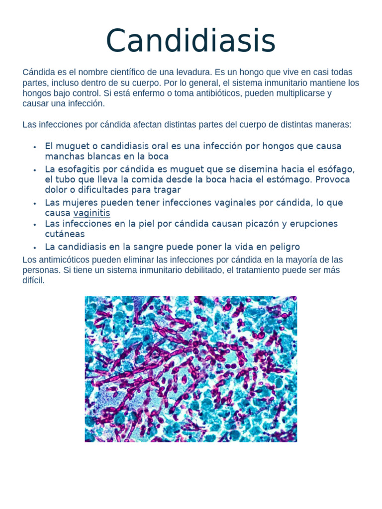 Candidiasis | PDF | Candidiasis | Sistema urinario