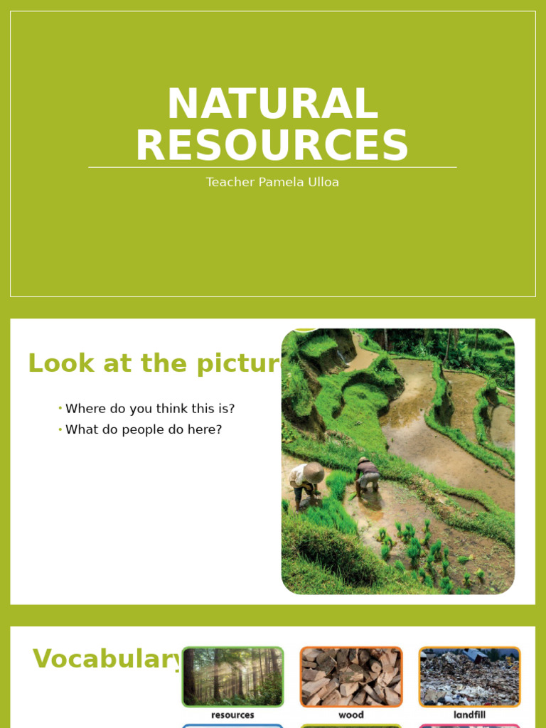 Natural Resources - A2 Esl | PDF
