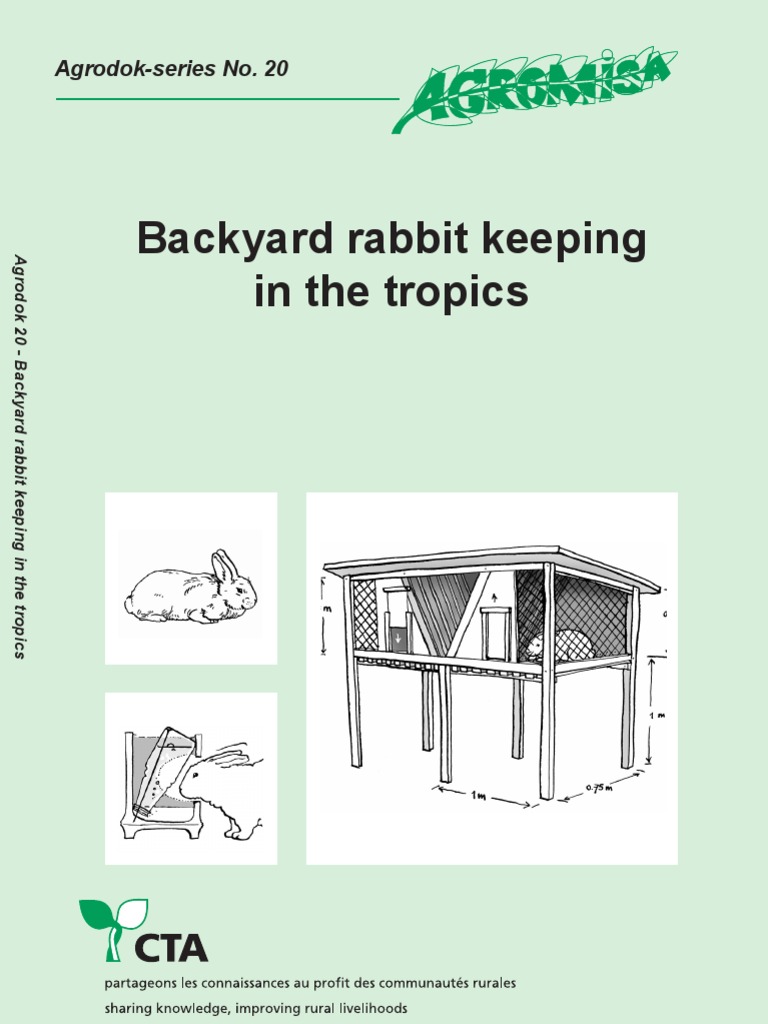 Rabbit Care and Breeding | PDF | Rabbit | Meat