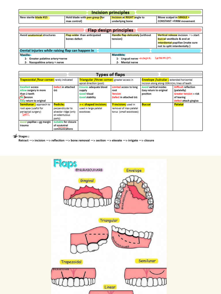 Surgical Flap Design and Incision Techniques | PDF | Dentistry ...