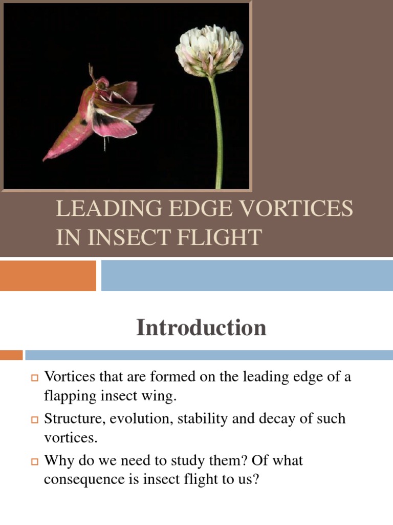 Leading Edge Vortices in Insect Flight | PDF | Lift (Force) | Vortices