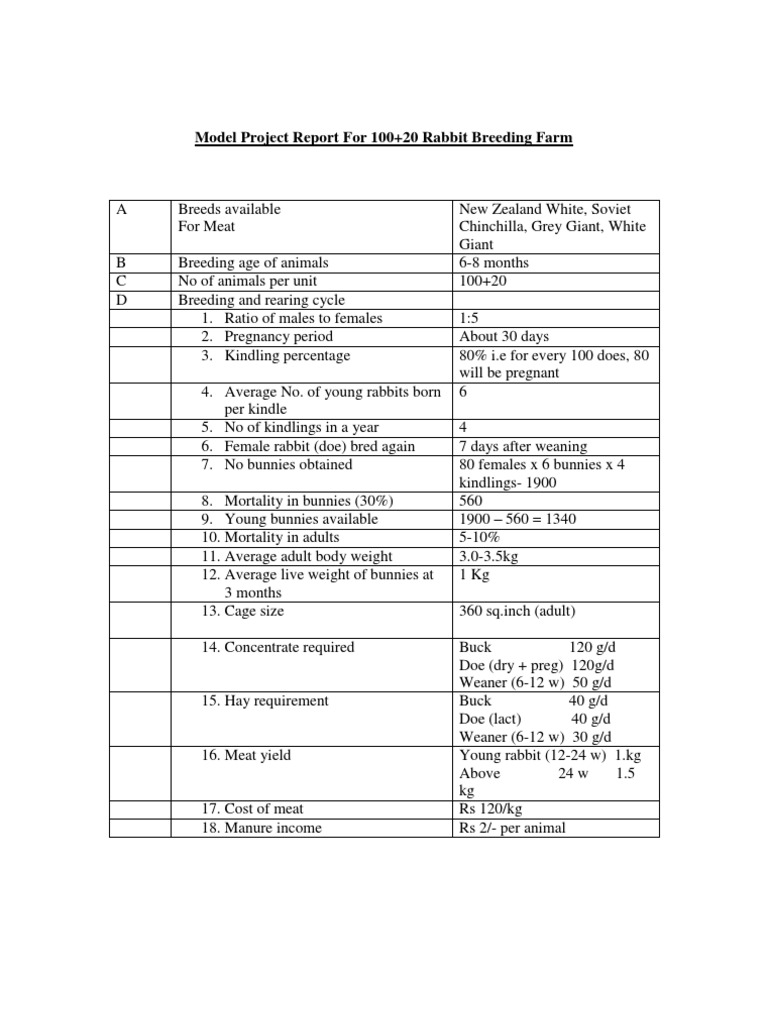 Model Project Report For 100+20 Rabbit Breeding Farm | Download Free ...