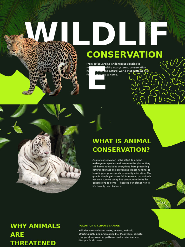 Green and Asasasasbold Animal Conservation Presentation | PDF ...