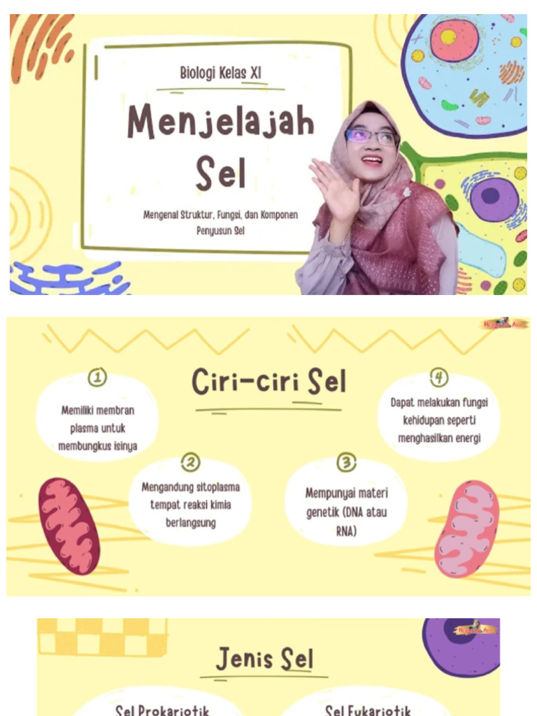 Sel - PPTX 20250820 225708 0000 | PDF
