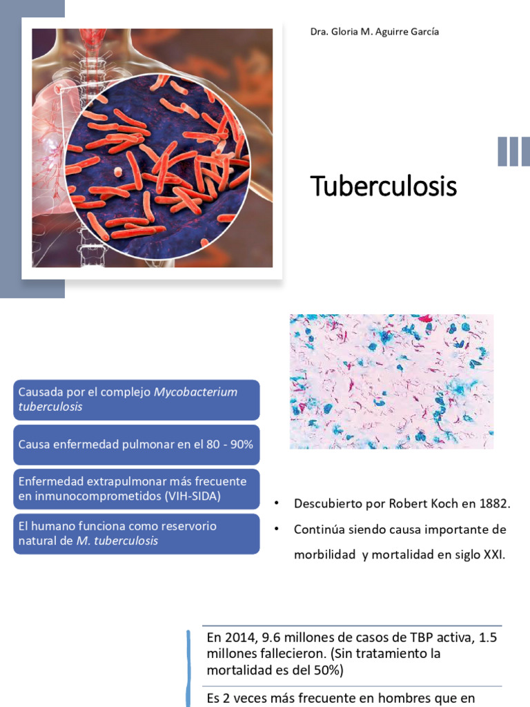 Tuberculosis 2023 | PDF | Tuberculosis | Mycobacterium