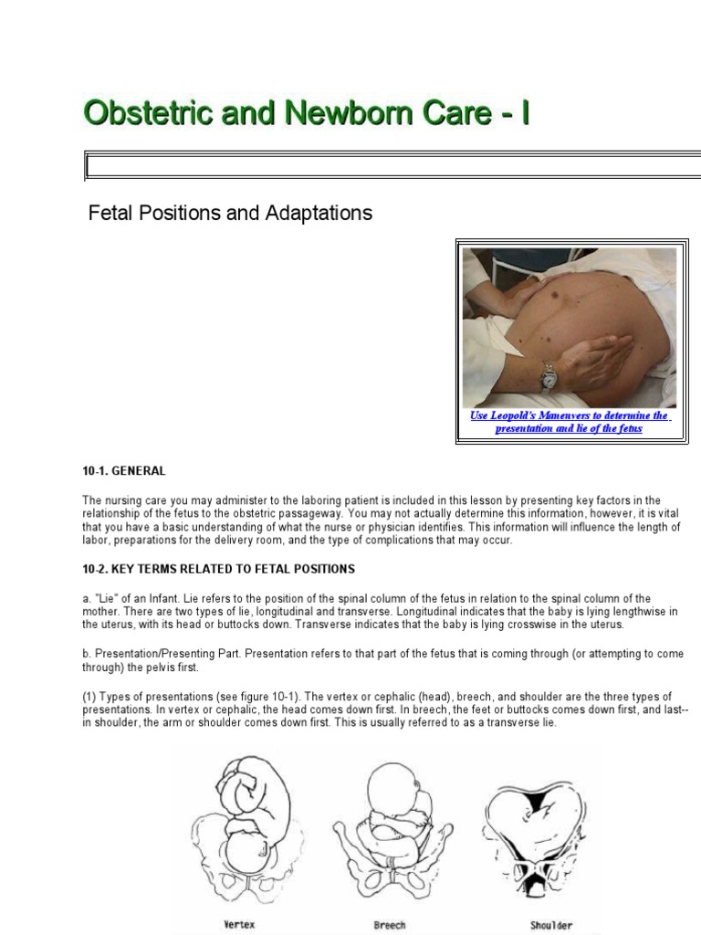 Fetal Positions and Adaptations: 10-1. GENERAL | PDF | Pelvis | Women's ...