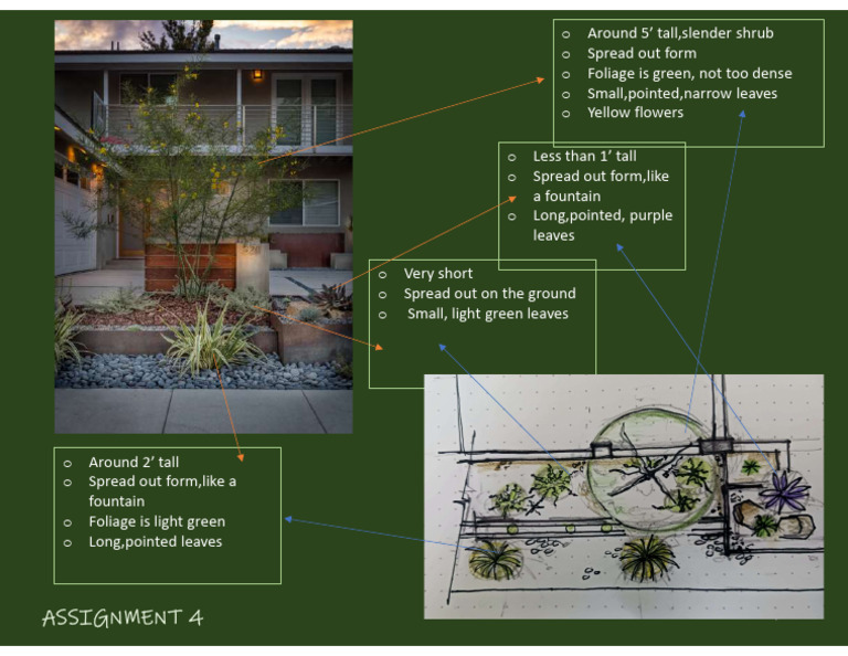 Assignment 4 Revised | PDF